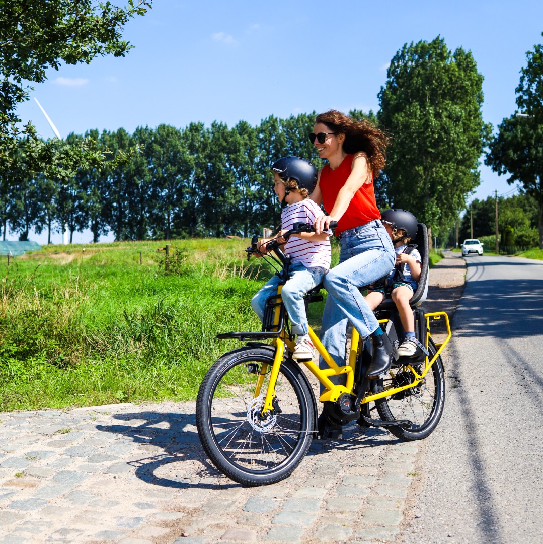 Veloe Multi - Shimano EP6 - Manolo Bikes