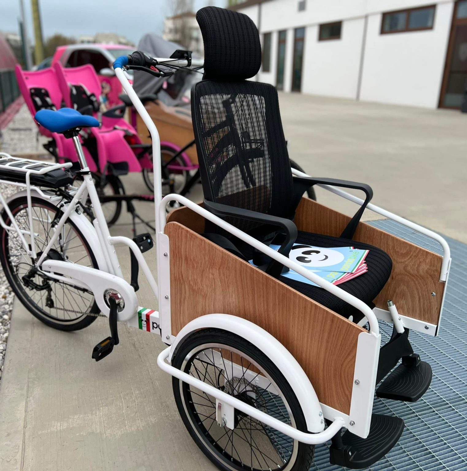 Panda Bike Personal electric - Manolo Bikes